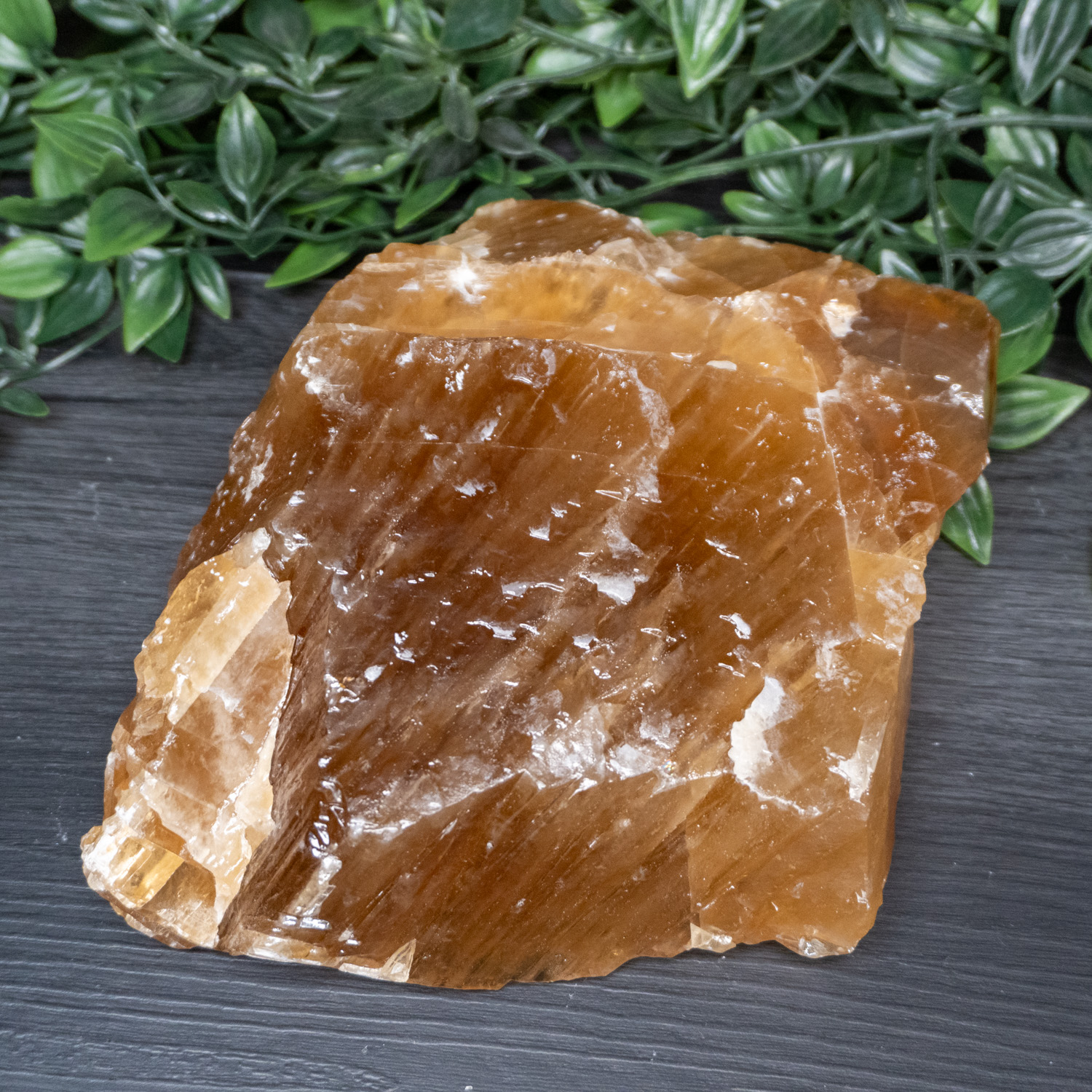 XL Honey Calcite #1 - The Crystal Council