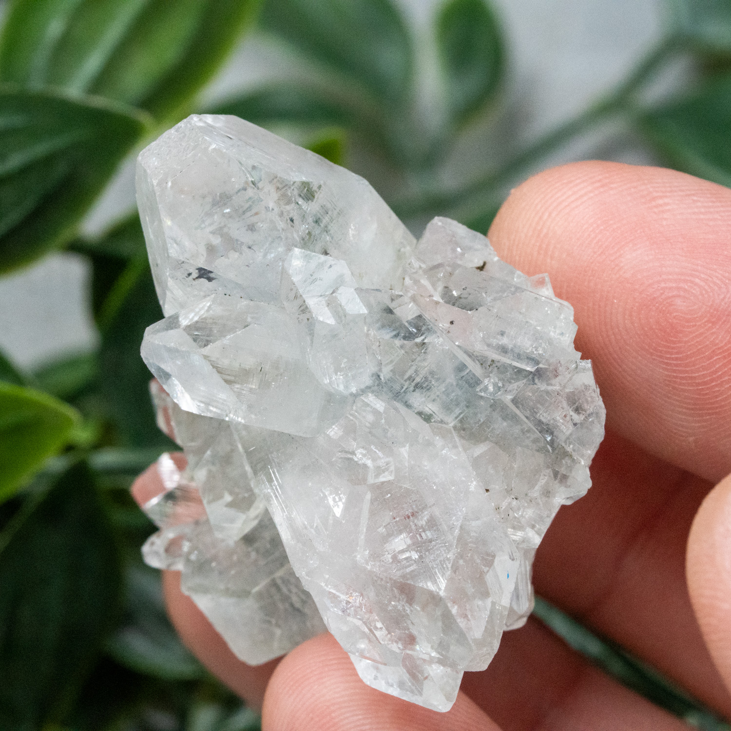 Apophyllite #2 - The Crystal Council