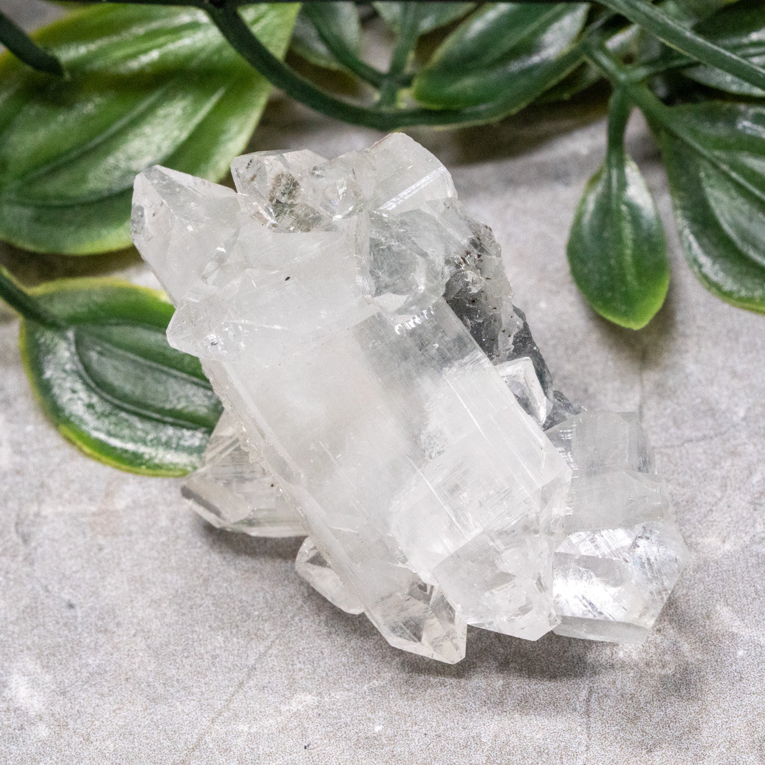 Apophyllite #1 - The Crystal Council