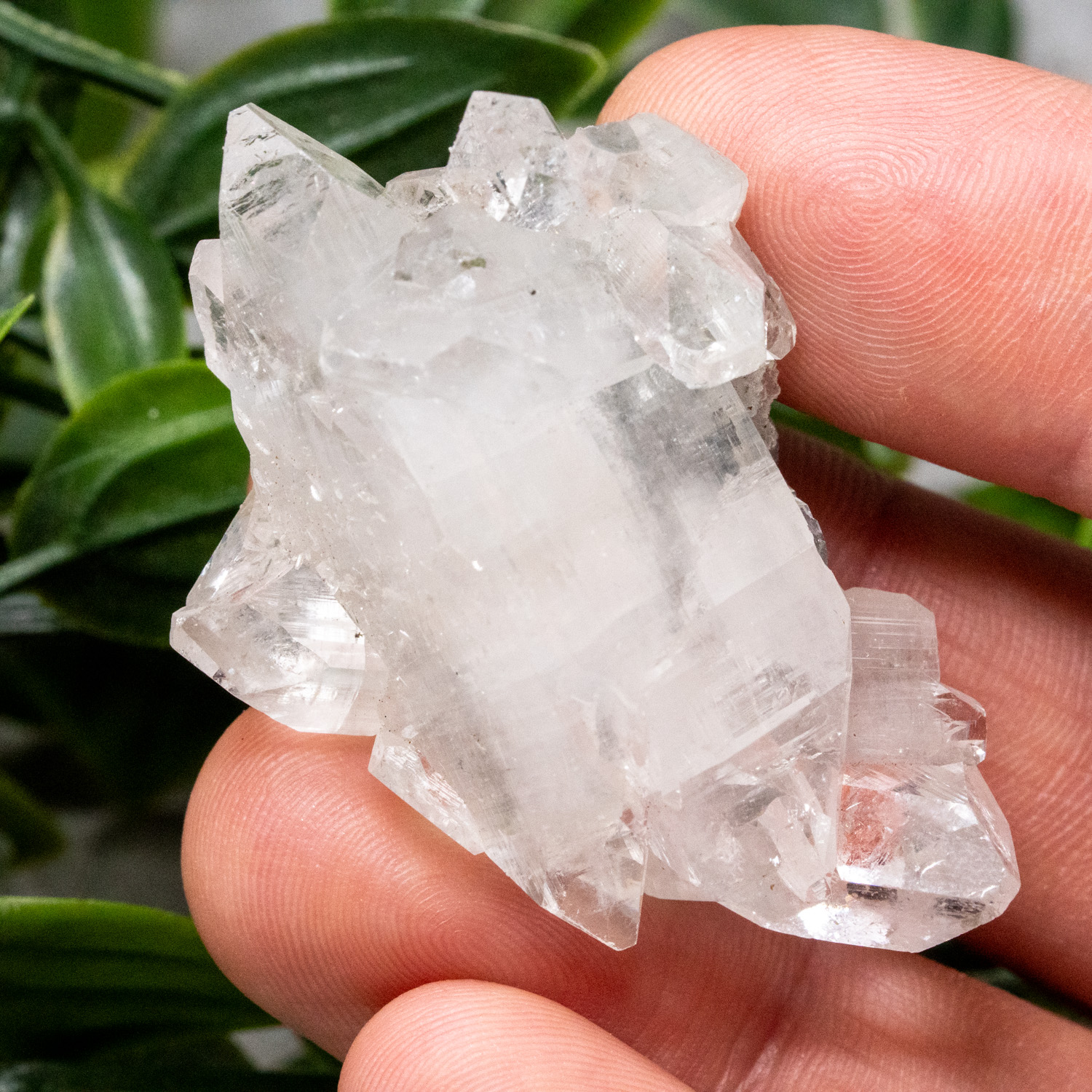 Apophyllite #1 - The Crystal Council