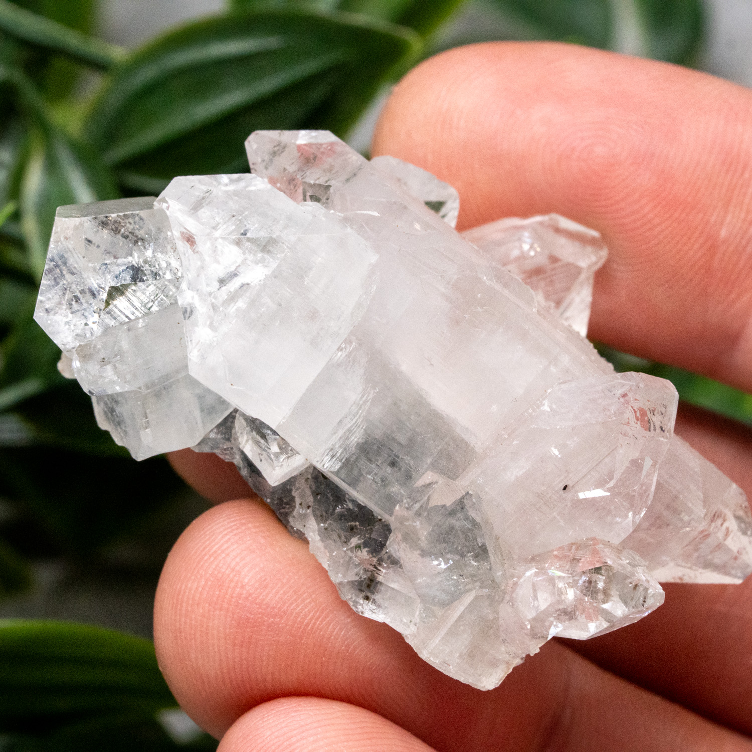 Apophyllite #1 - The Crystal Council