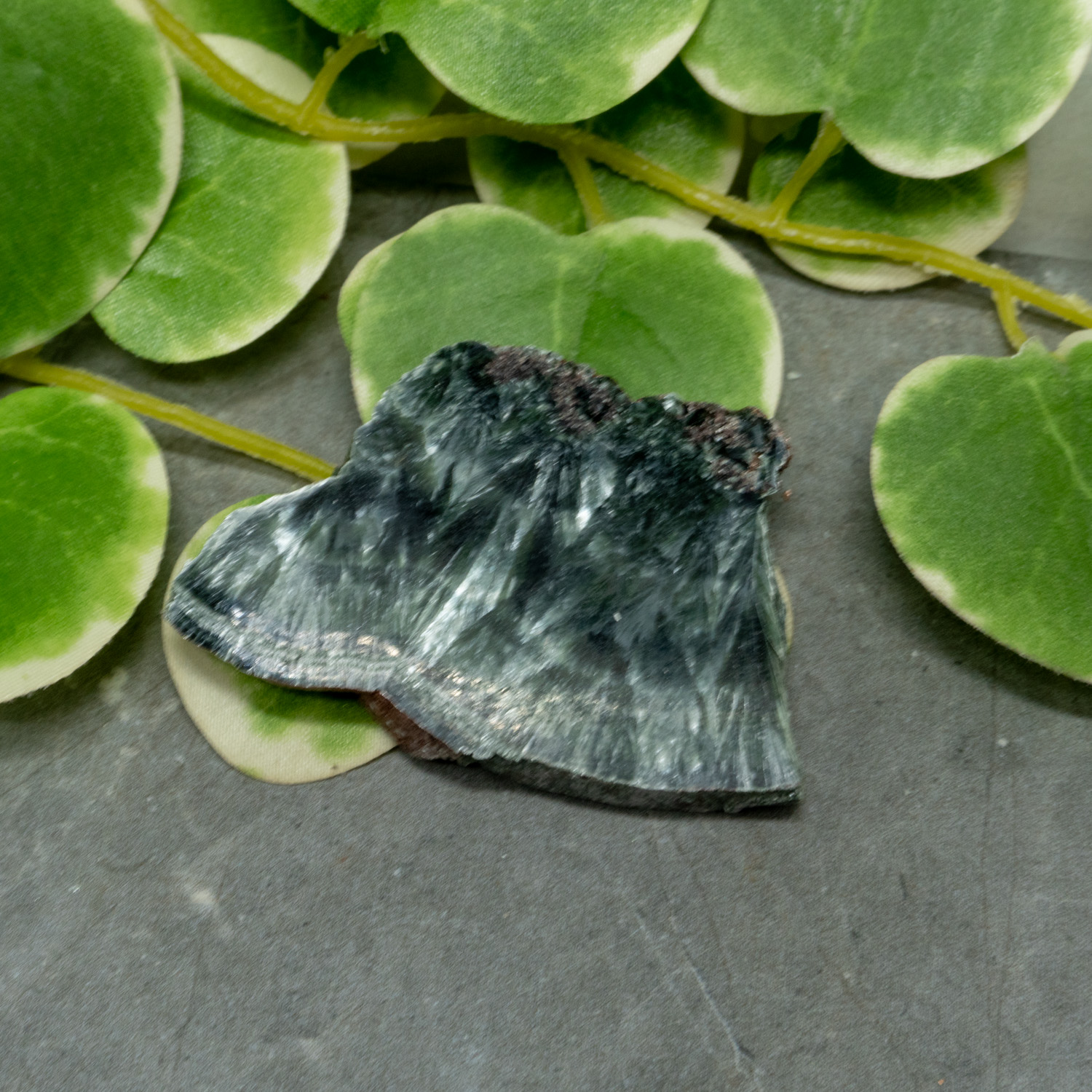 Seraphinite Slab #2 - The Crystal Council