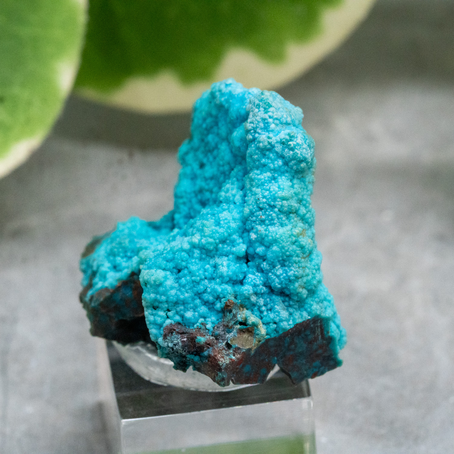 Quantum Quattro on Stand #1 - The Crystal Council