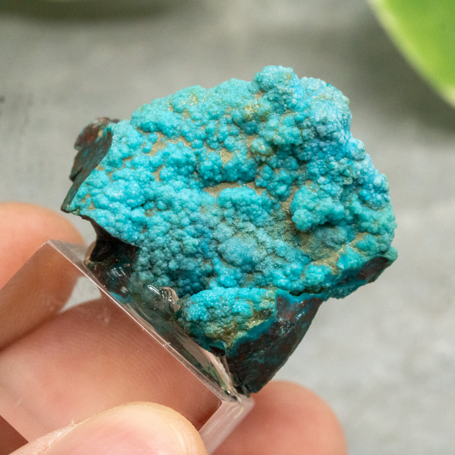 Quantum Quattro on Stand #1 - The Crystal Council