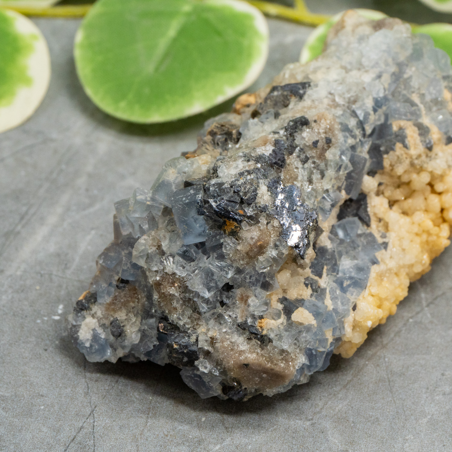 Blue Fluorite with Galena and Quartz #1 - The Crystal Council