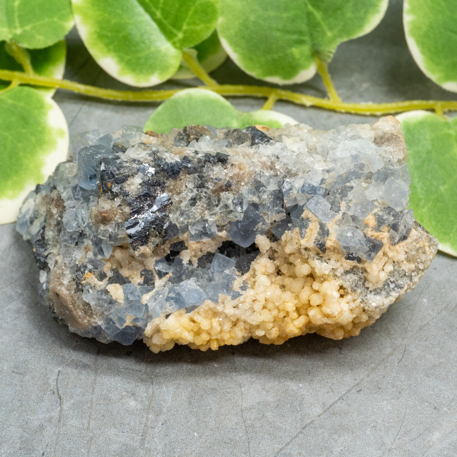 Blue Fluorite with Galena and Quartz #1 - The Crystal Council