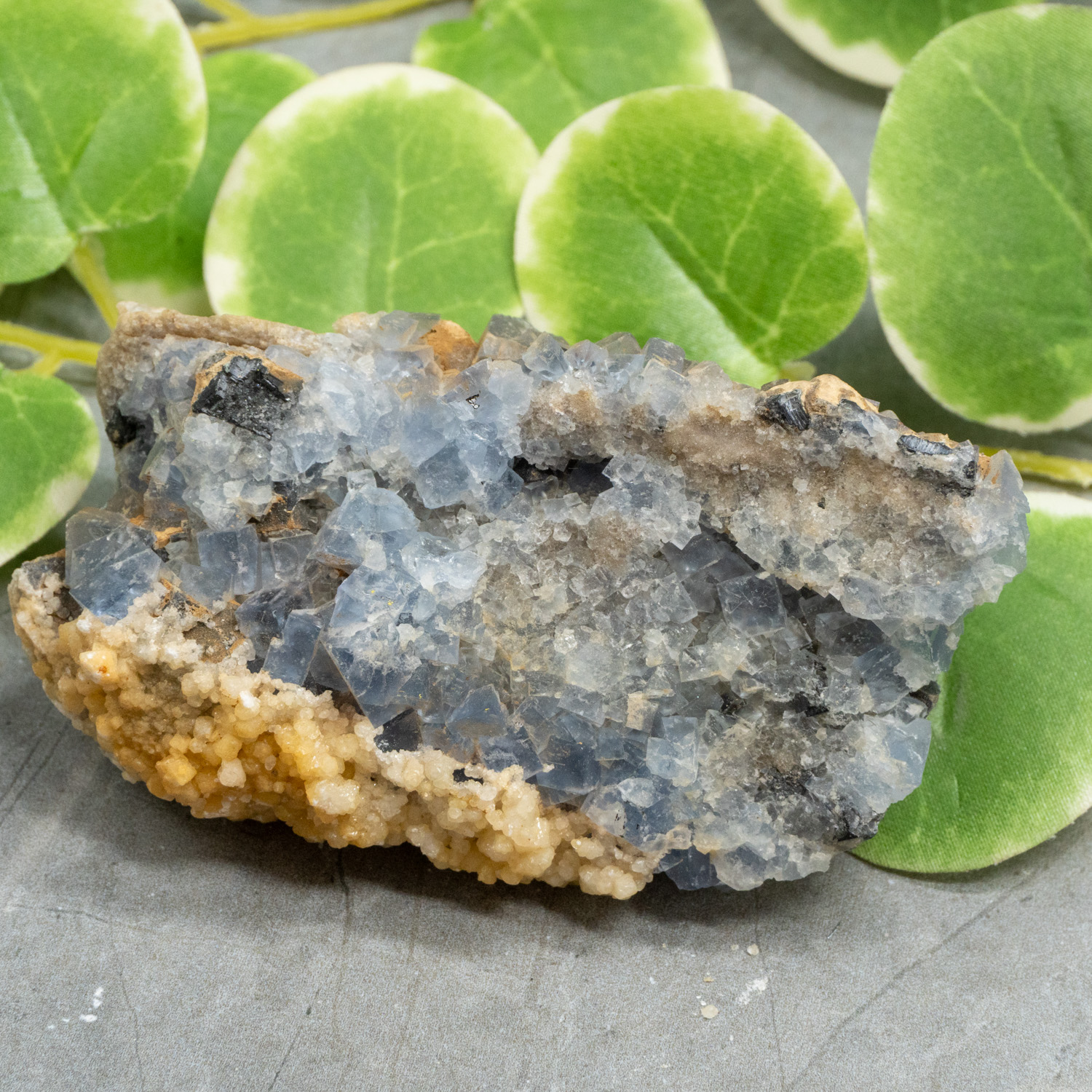 Blue Fluorite with Galena and Quartz #1 - The Crystal Council