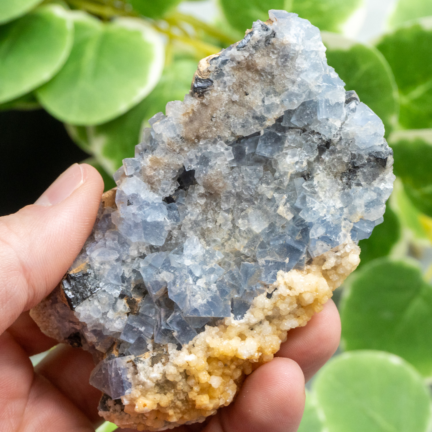 Blue Fluorite with Galena and Quartz #1 - The Crystal Council