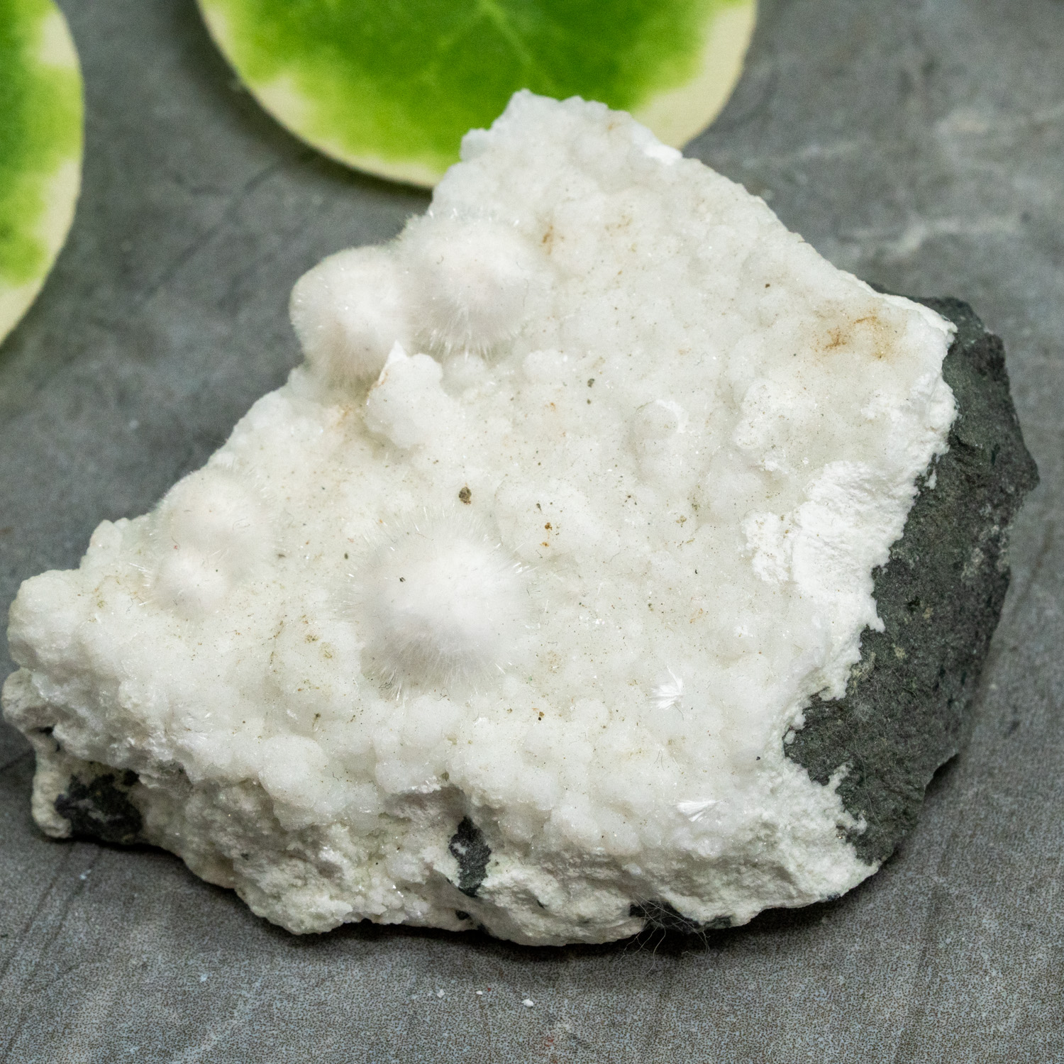 Okenite #13 - The Crystal Council