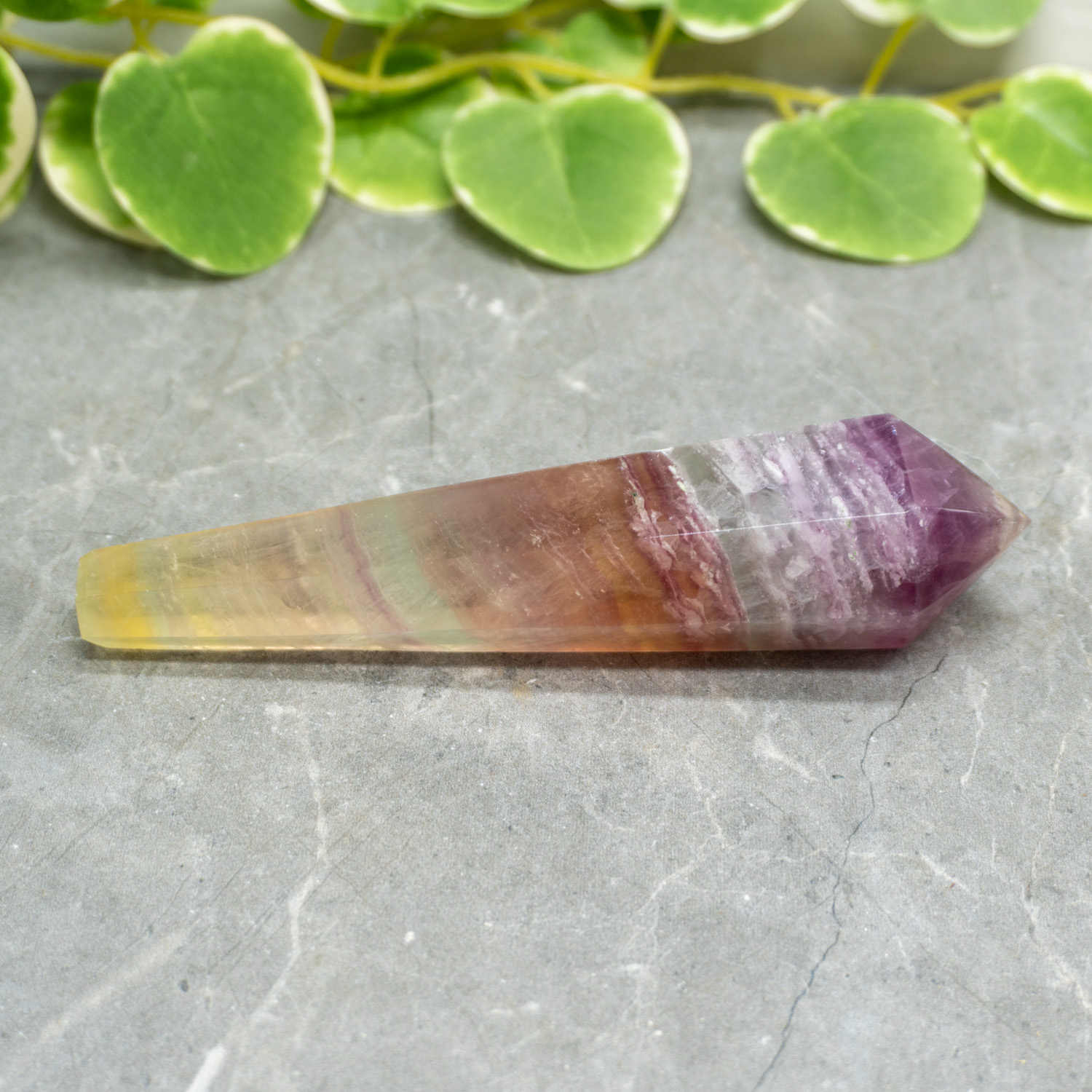 Rainbow Fluorite Mounted Point #5 - The Crystal Council