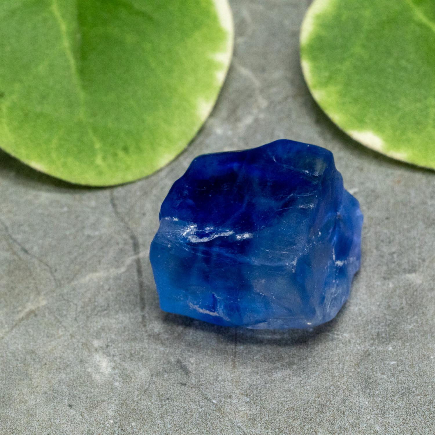 Blue Halite #15 - The Crystal Council