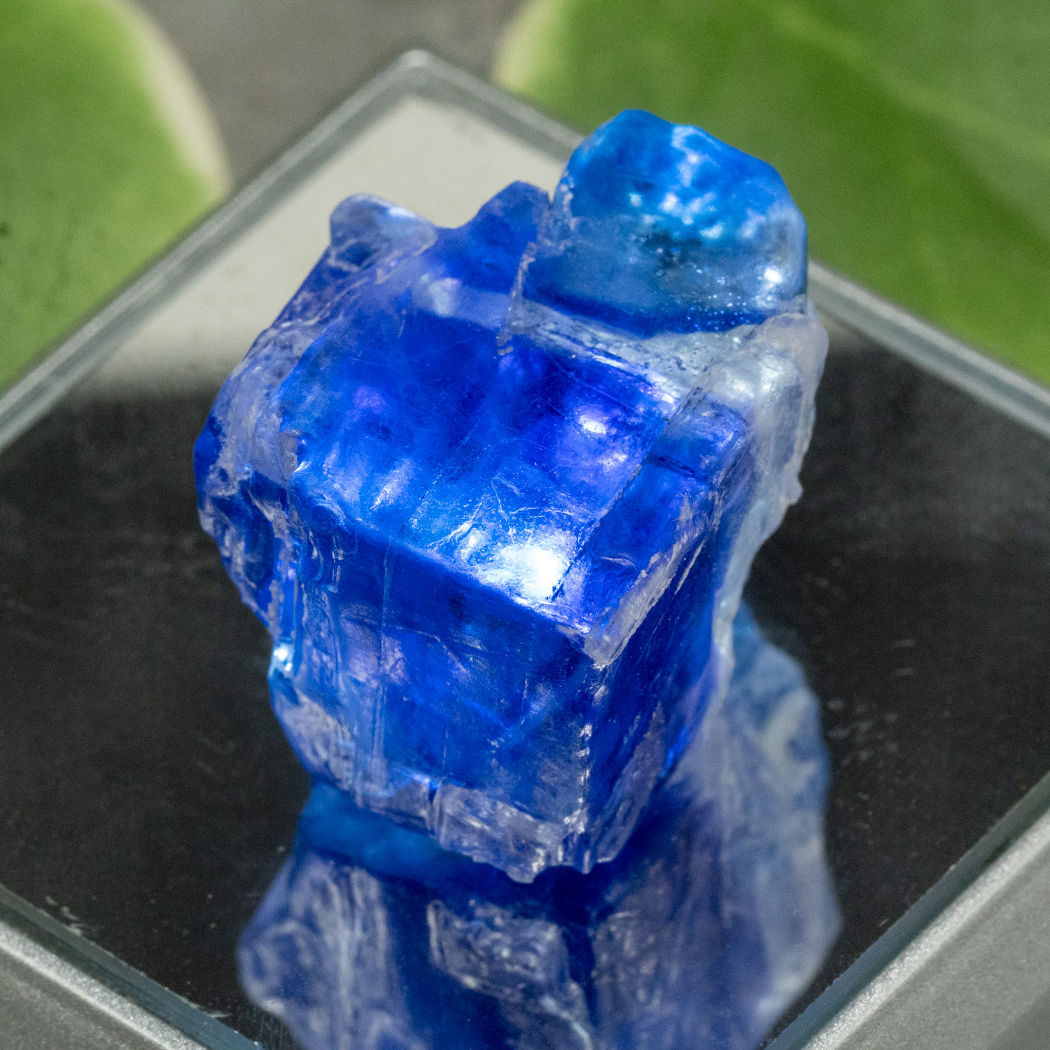 Blue Halite #5 - The Crystal Council