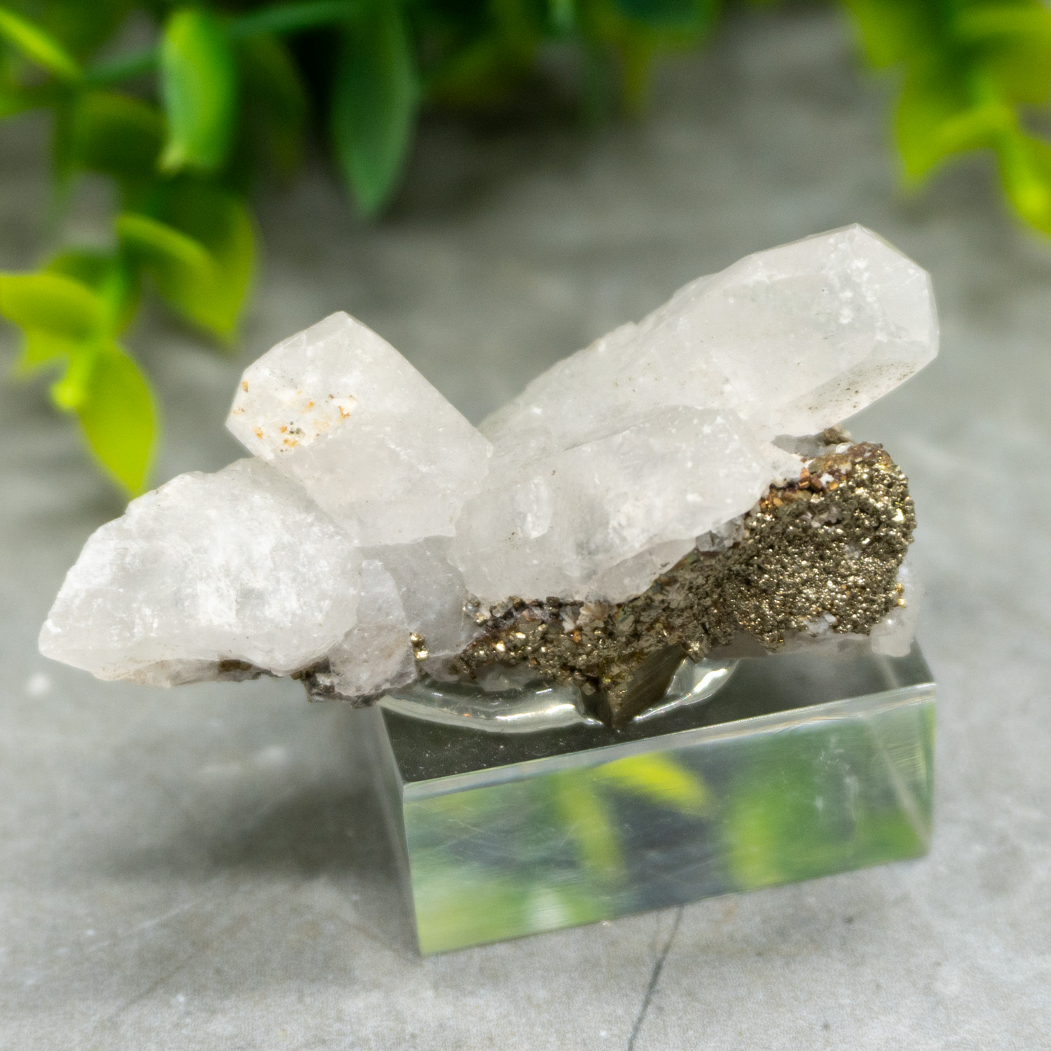 Mangano Calcite on Pyrite on stand #2 - The Crystal Council