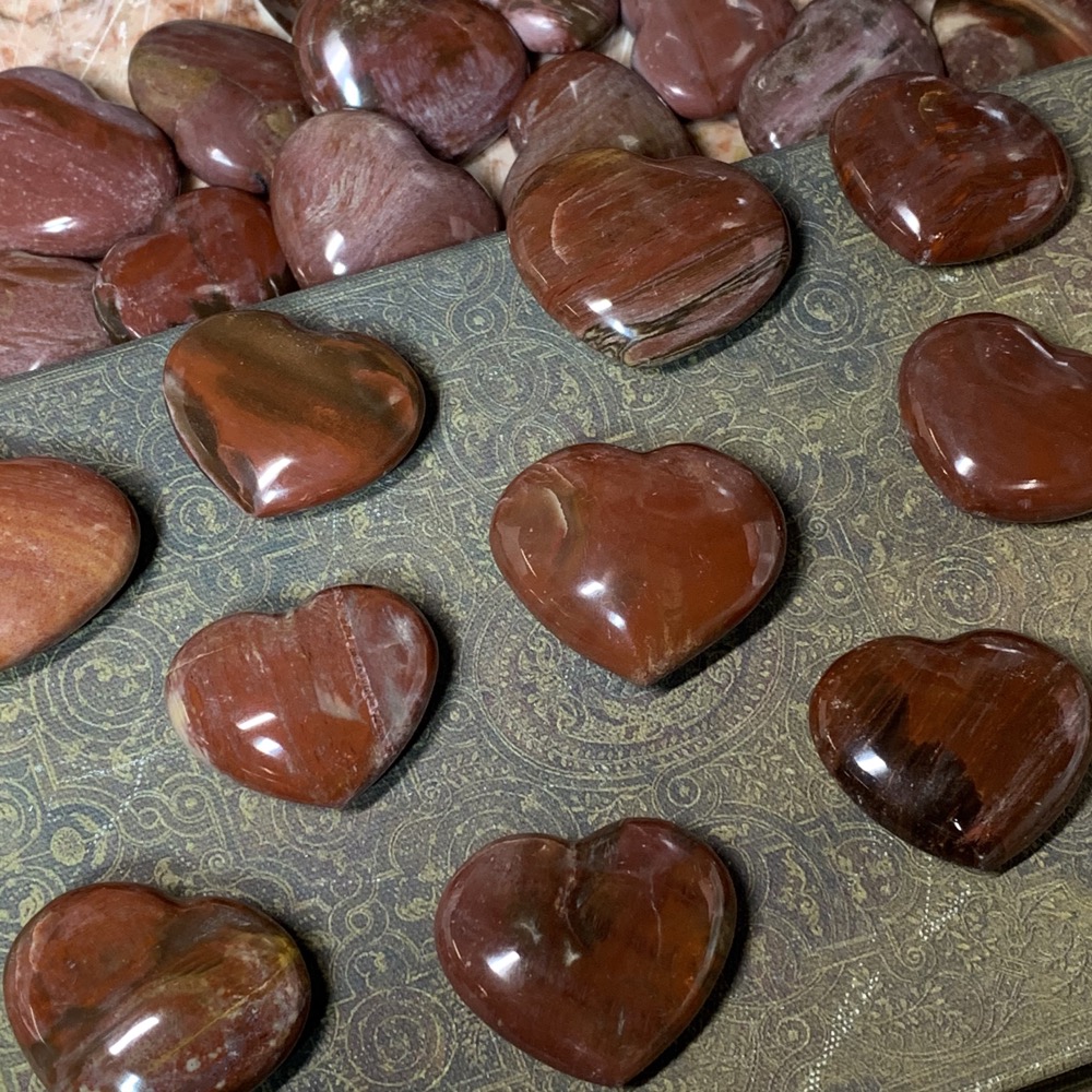 Petrified Wood Meanings and Crystal Properties - The Crystal Council