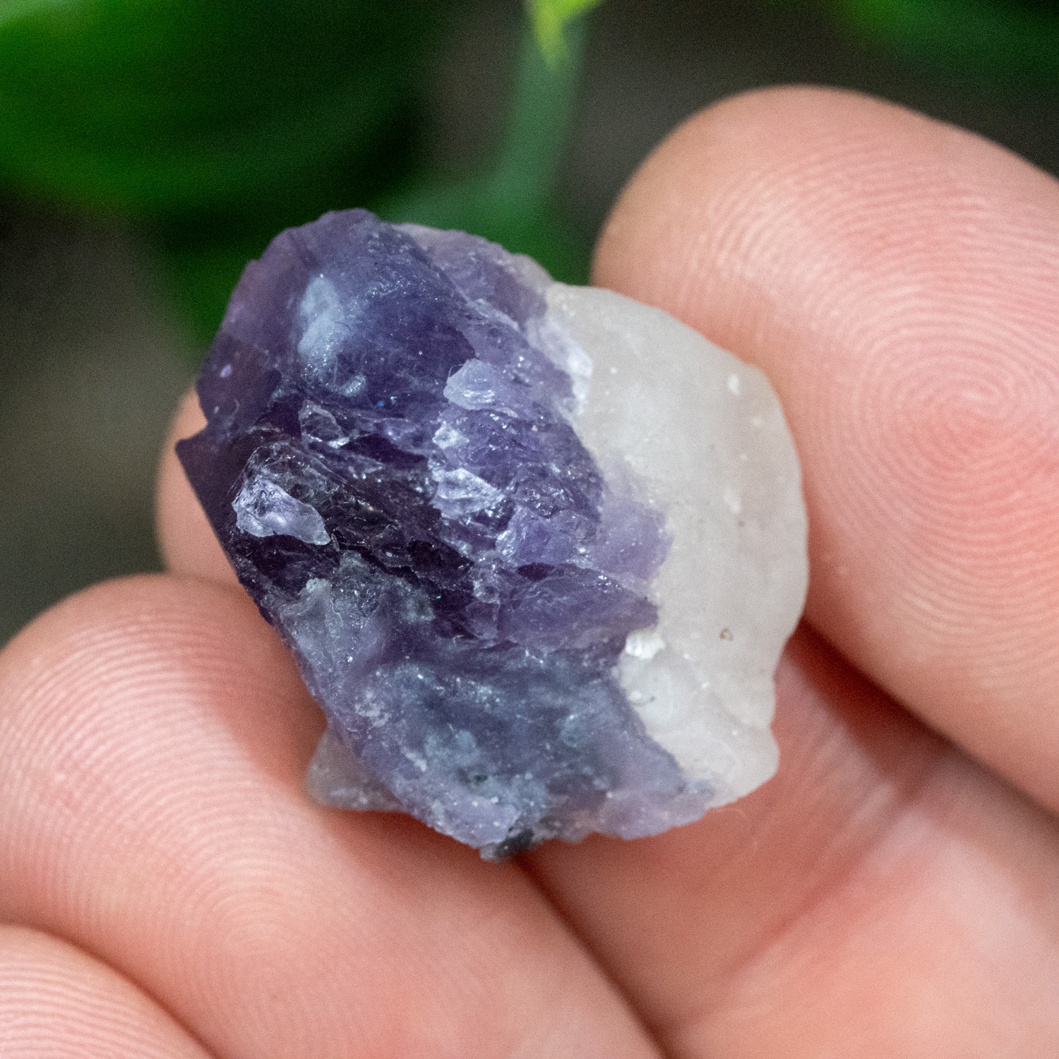 Purple Scapolite Raw #2 - The Crystal Council