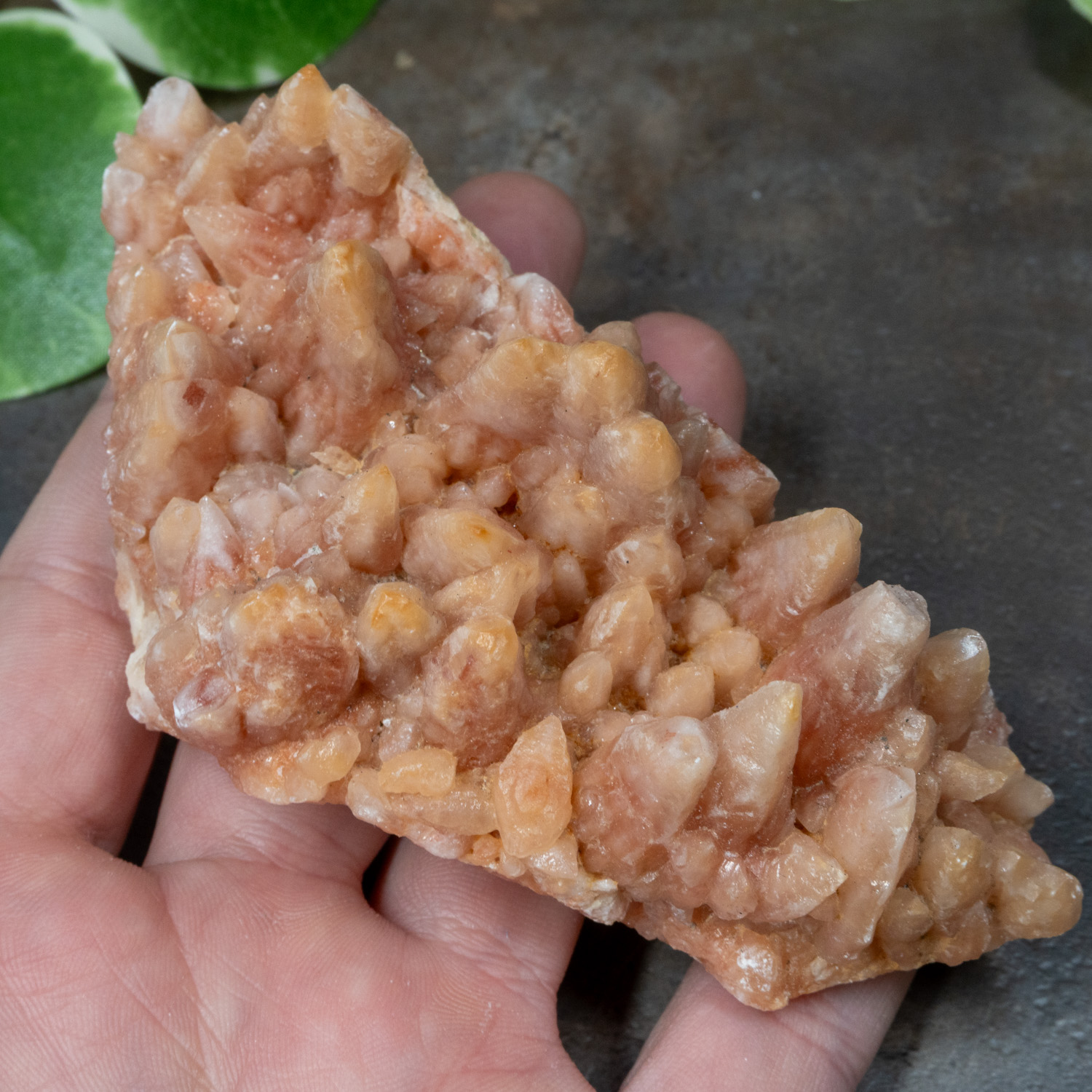Fire Mountain Calcite #5 - The Crystal Council